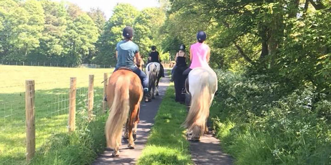 Happy Hooves Activities | Happy Hooves Riding Centre