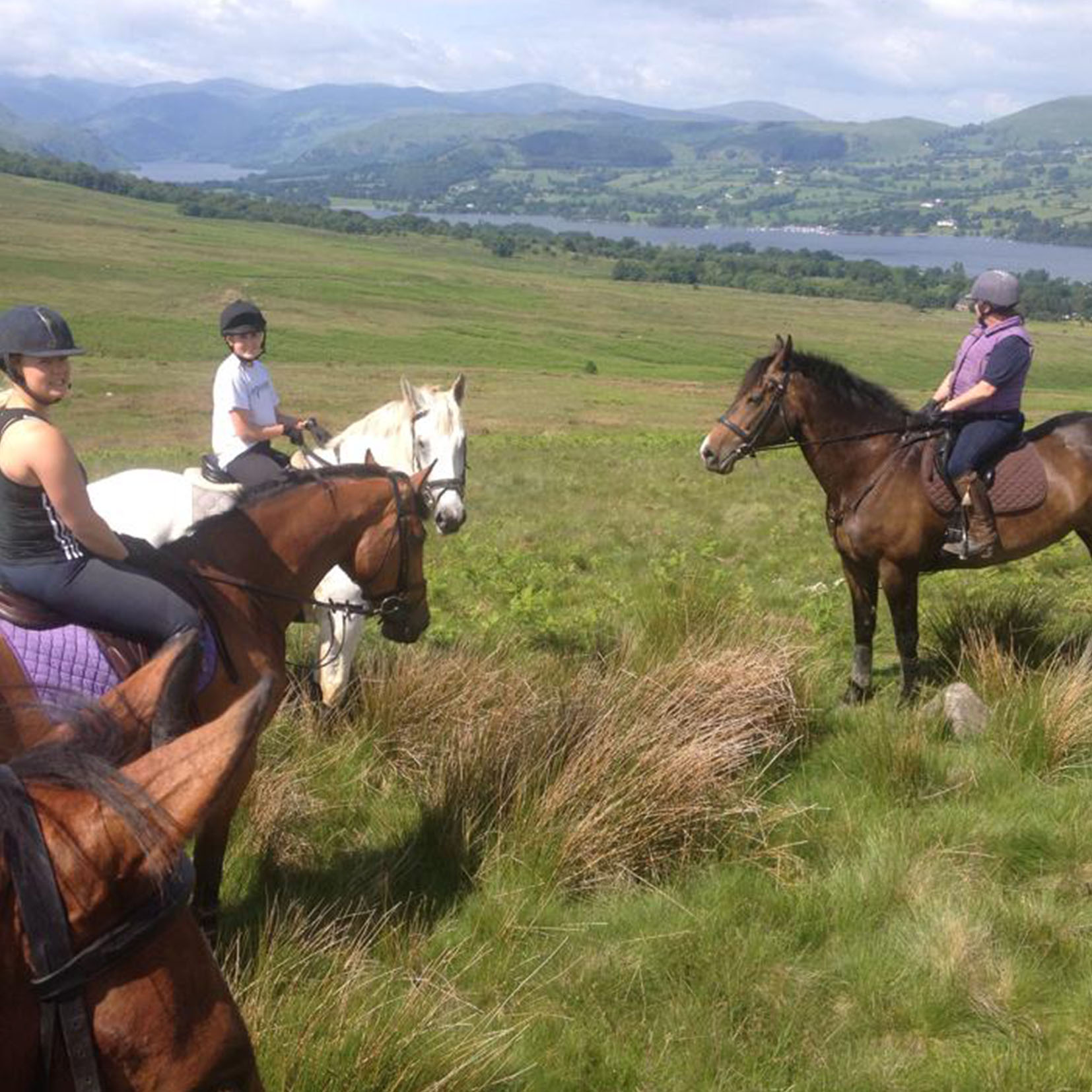 Happy Hooves Gallery | Happy Hooves Riding Centre