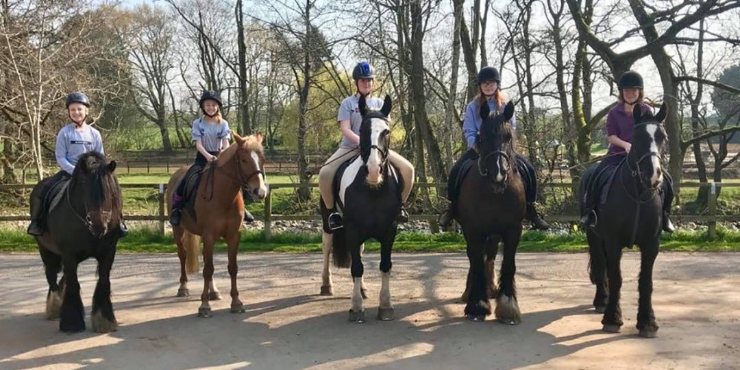 Happy Hooves Activities | Happy Hooves Riding Centre