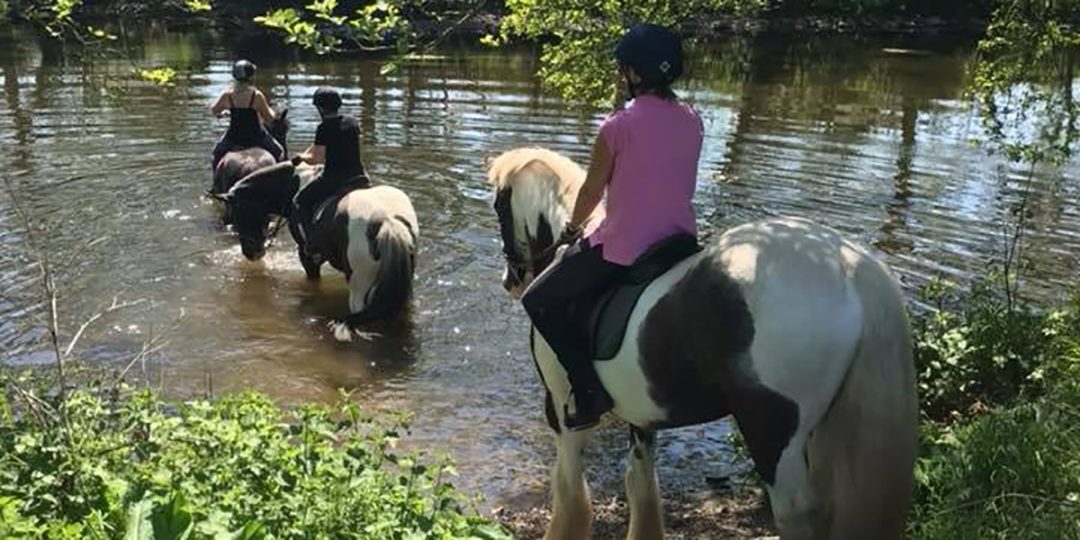 Happy Hooves Activities | Happy Hooves Riding Centre