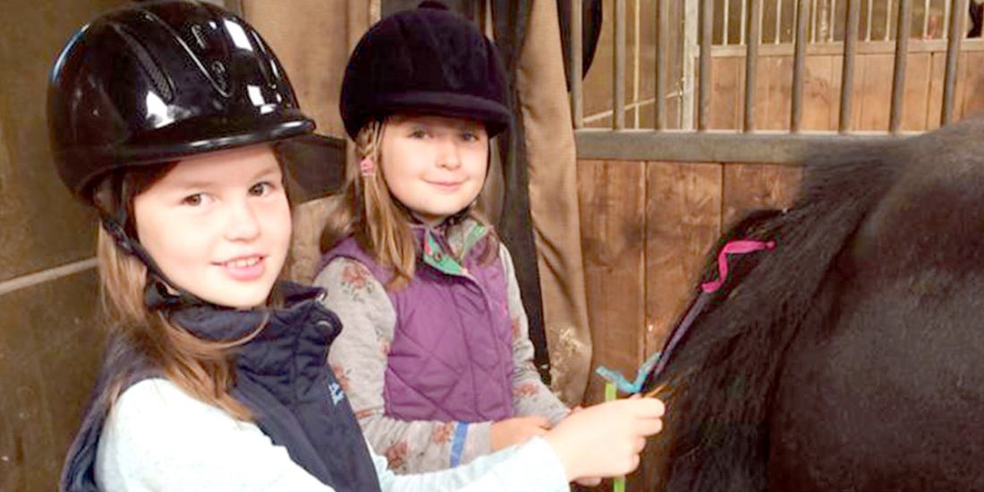 Happy Hooves Activities | Happy Hooves Riding Centre